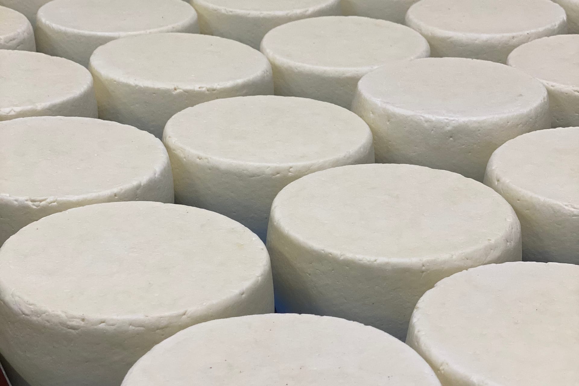 The Studd Siblings Interview with Prom Country Cheese