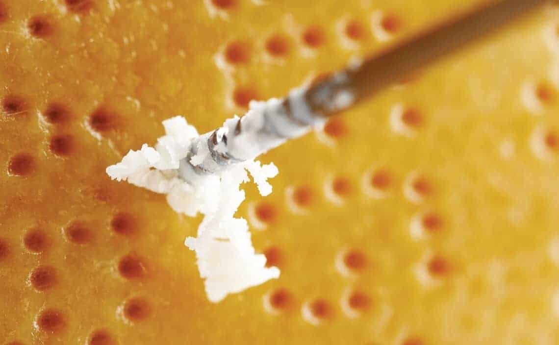 What are the different rinds on cheese and what do they mean?