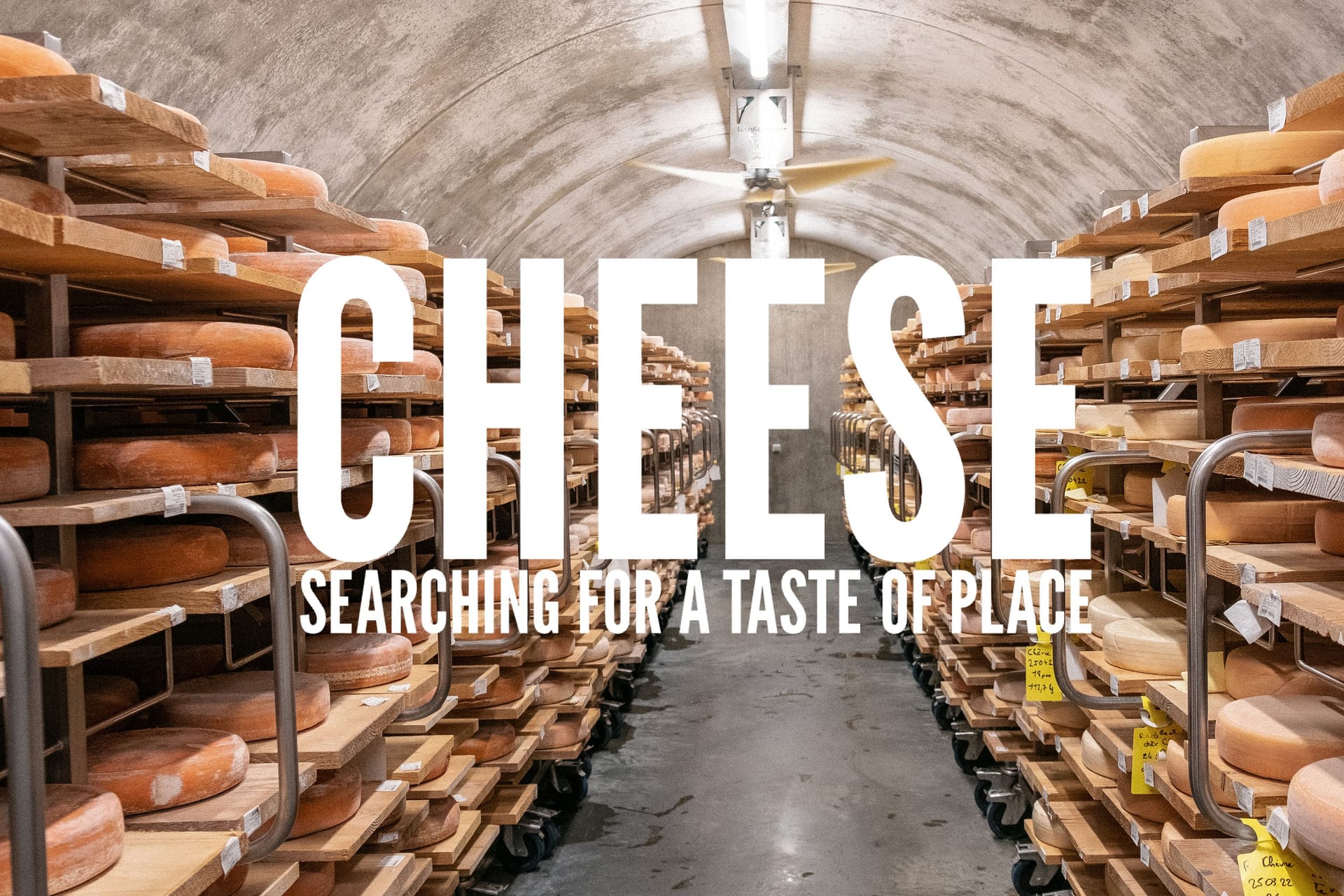 Cheese – Searching For a Taste of Place